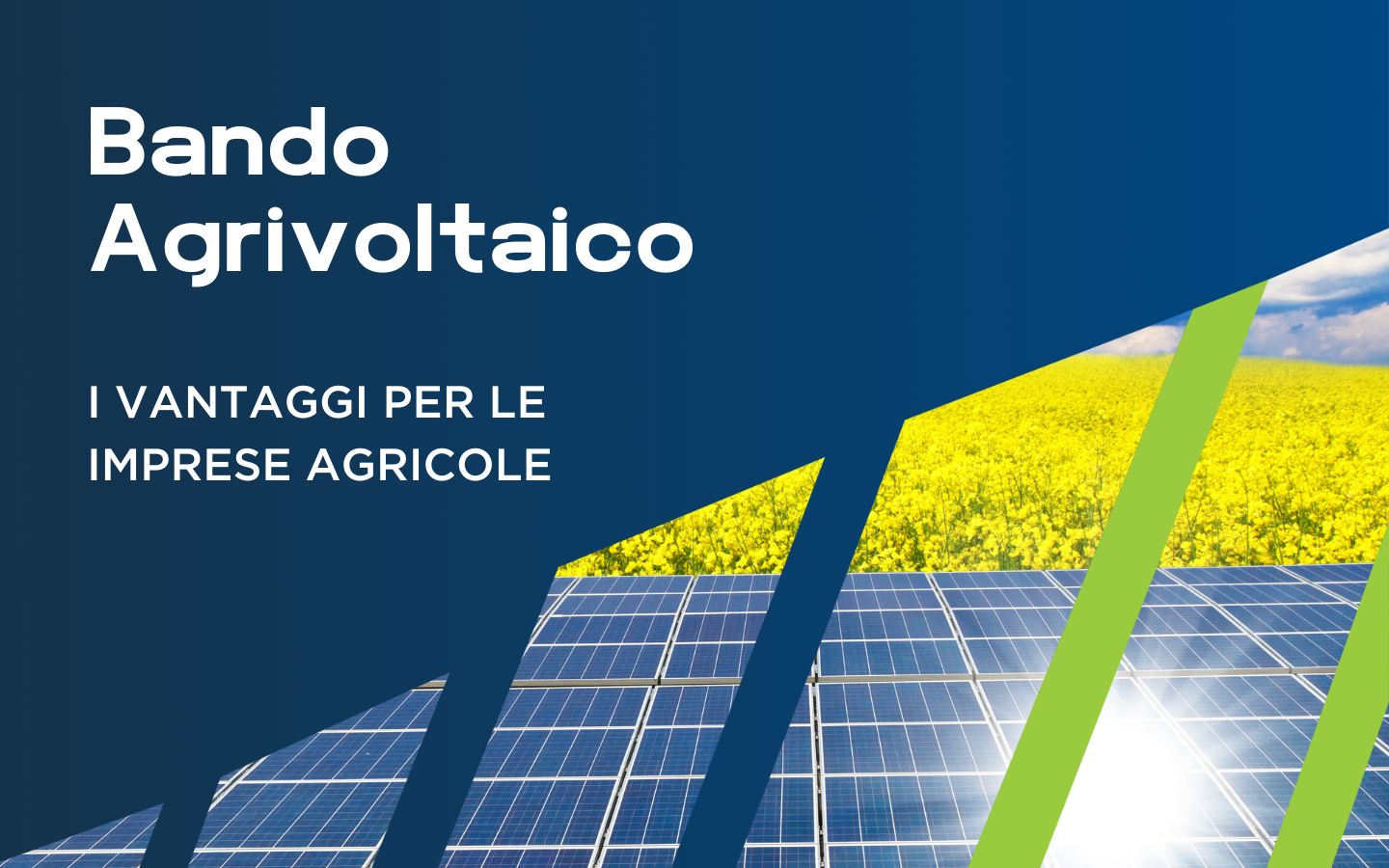 Bando Agrivoltaico: fino al 40% a fondo perduto per il tuo impianto